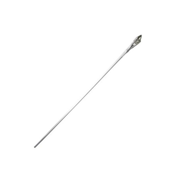 Staff apperance... - NASIOC